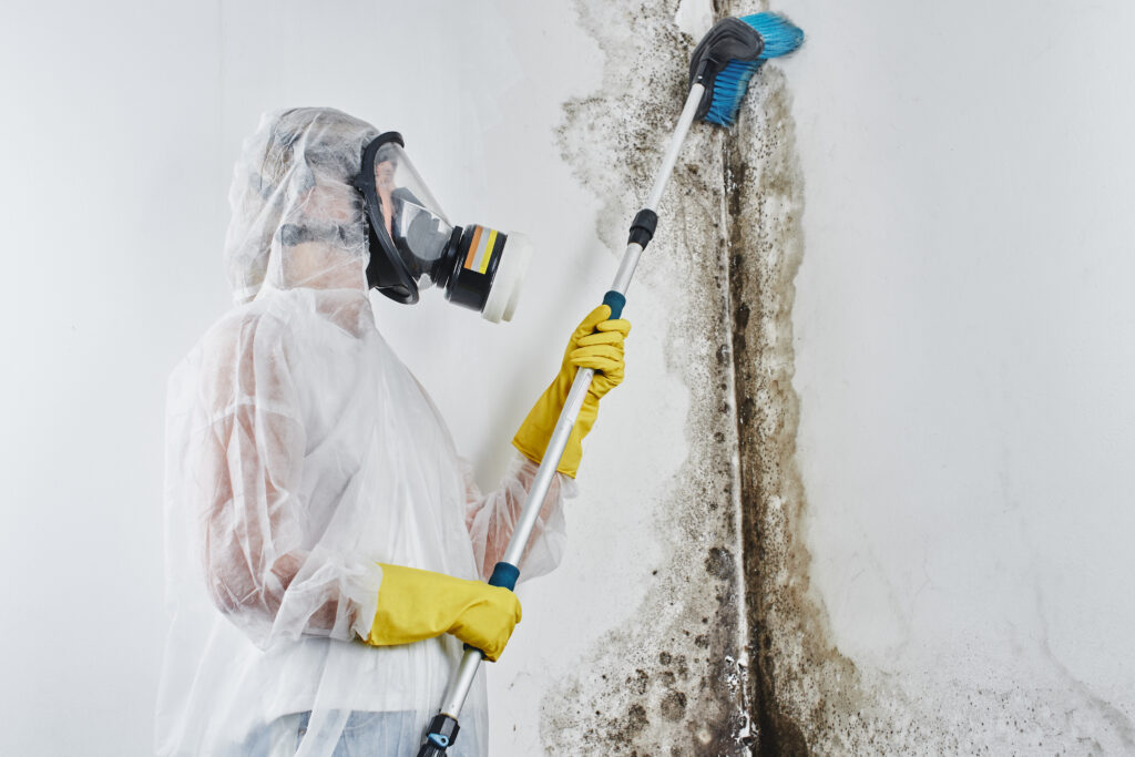 Mold Quote | Fast Mold Remediation & Mitigation Quotes - Mold Quote
